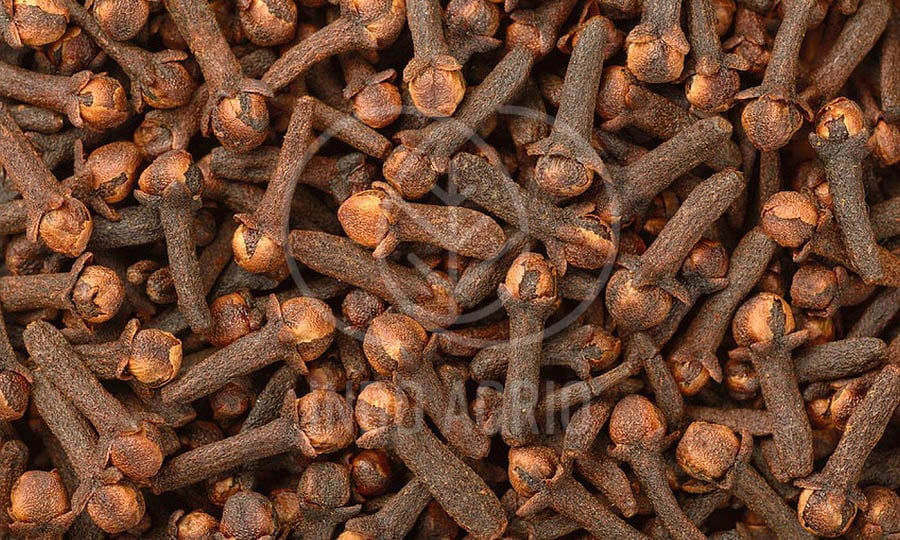 Explore the World of Cloves: A Guide to 5 Different Varieties • INDO AGRIO